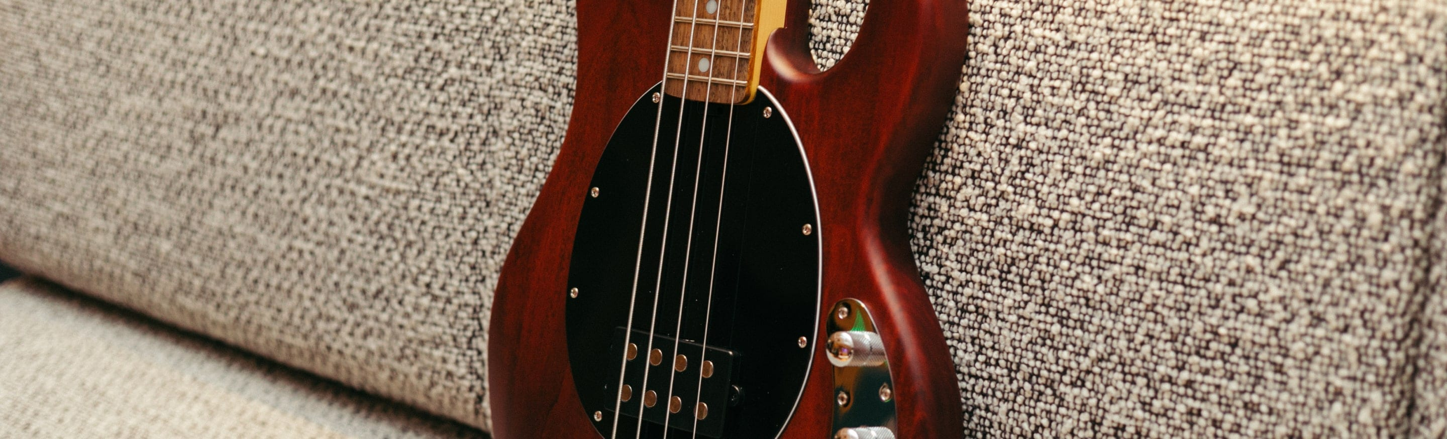 StingRay Sub Series - Sterling by Music Man